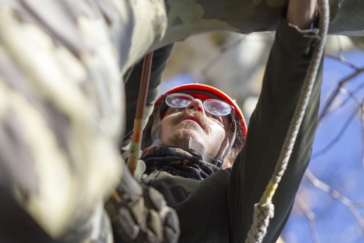 Reaching new heights: Penn State’s Horticulture 201 students learn tree ...