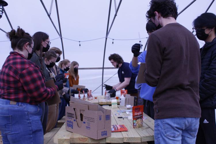 Penn State students get ‘fun-gi’ with Blooms & Shrooms club | Lifestyle ...