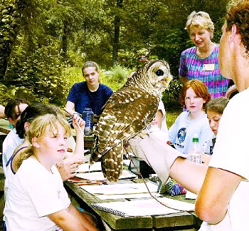 Feature Photo - Give a hoot | Archived News | Daily Collegian ...