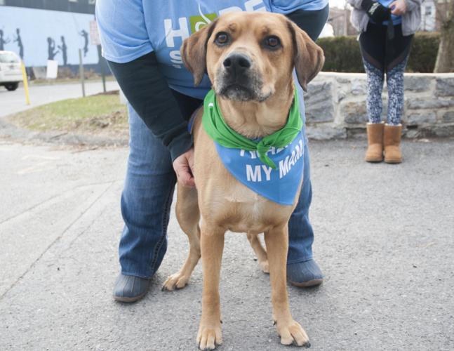 ‘Everybody deserves treatment’: 2019 NEDA walk to raise eating disorder ...