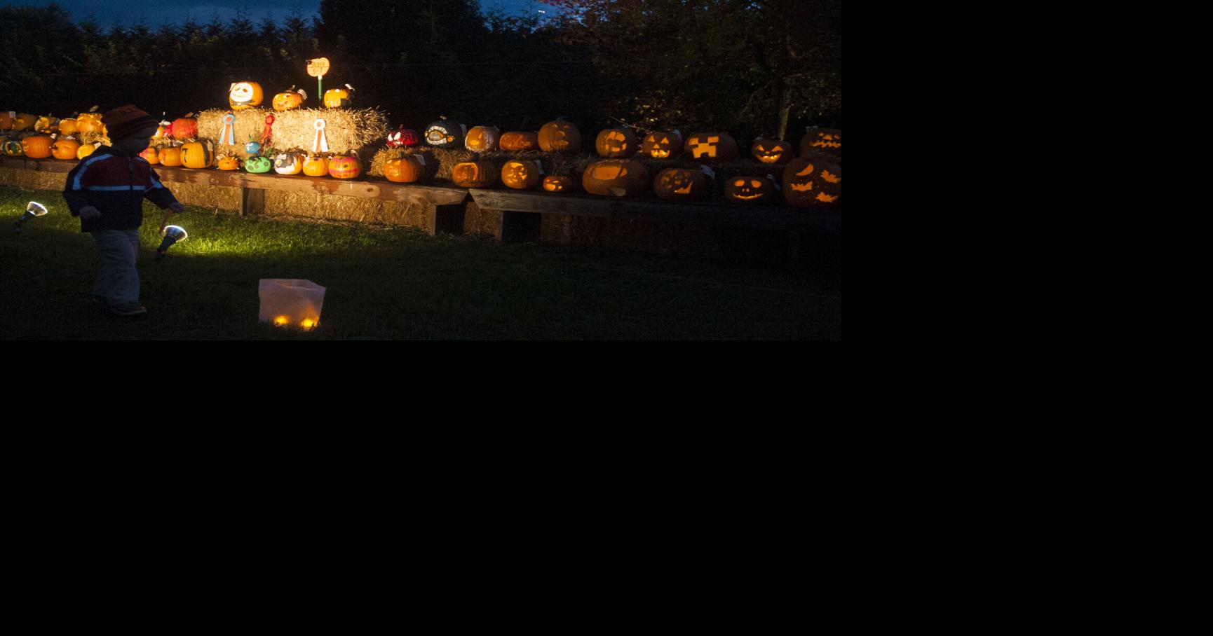 Penn State's Arboretum Pumpkin Festival goers find 'sense of community ...