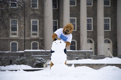 SATIRE | Frosty the Snowman fired from athletic director position amid ...