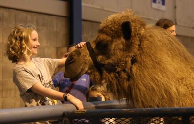 Snider Agriculture Arena gets 'wild,' hosts animals for education and ...