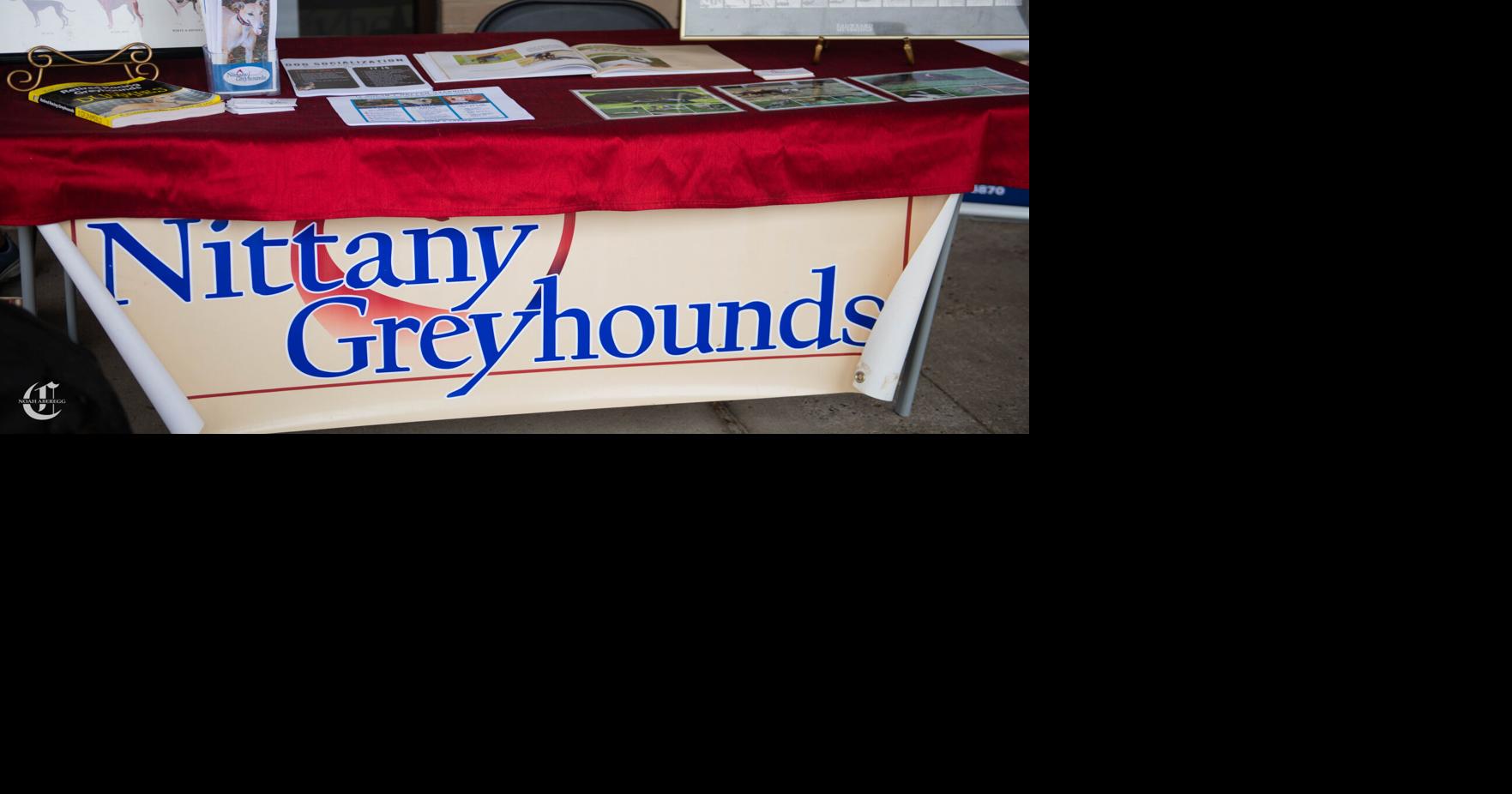 Nittany Greyhounds feature, table | | psucollegian.com