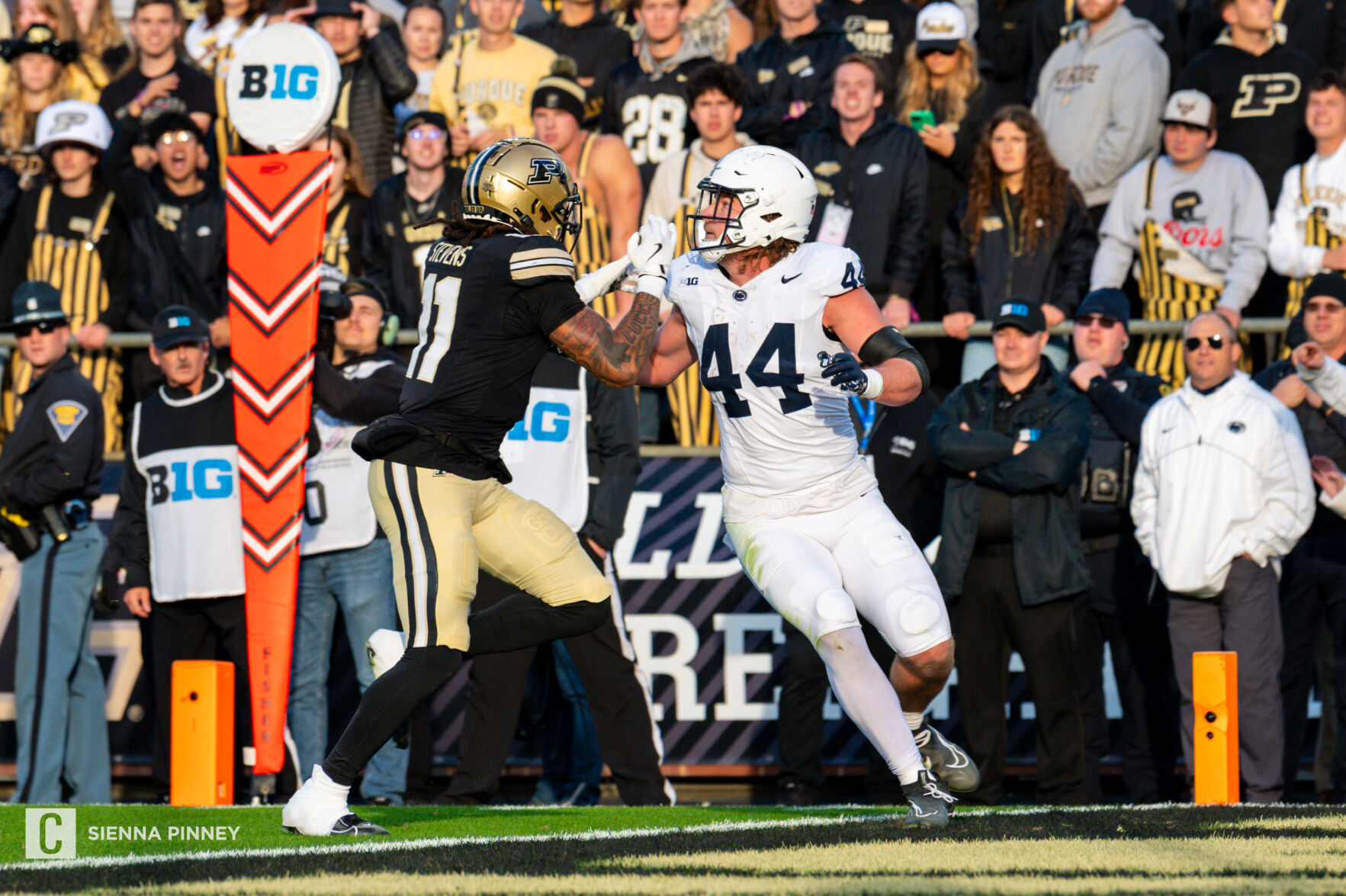 ‘It’s a really special year he’s having’ | Tyler Warren shines again in ...