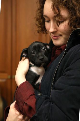 Centre County PAWS receives much of its support from volunteers within ...