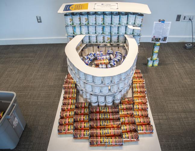 Lion’s Pantry event raises food insecurity awareness through artistic ...