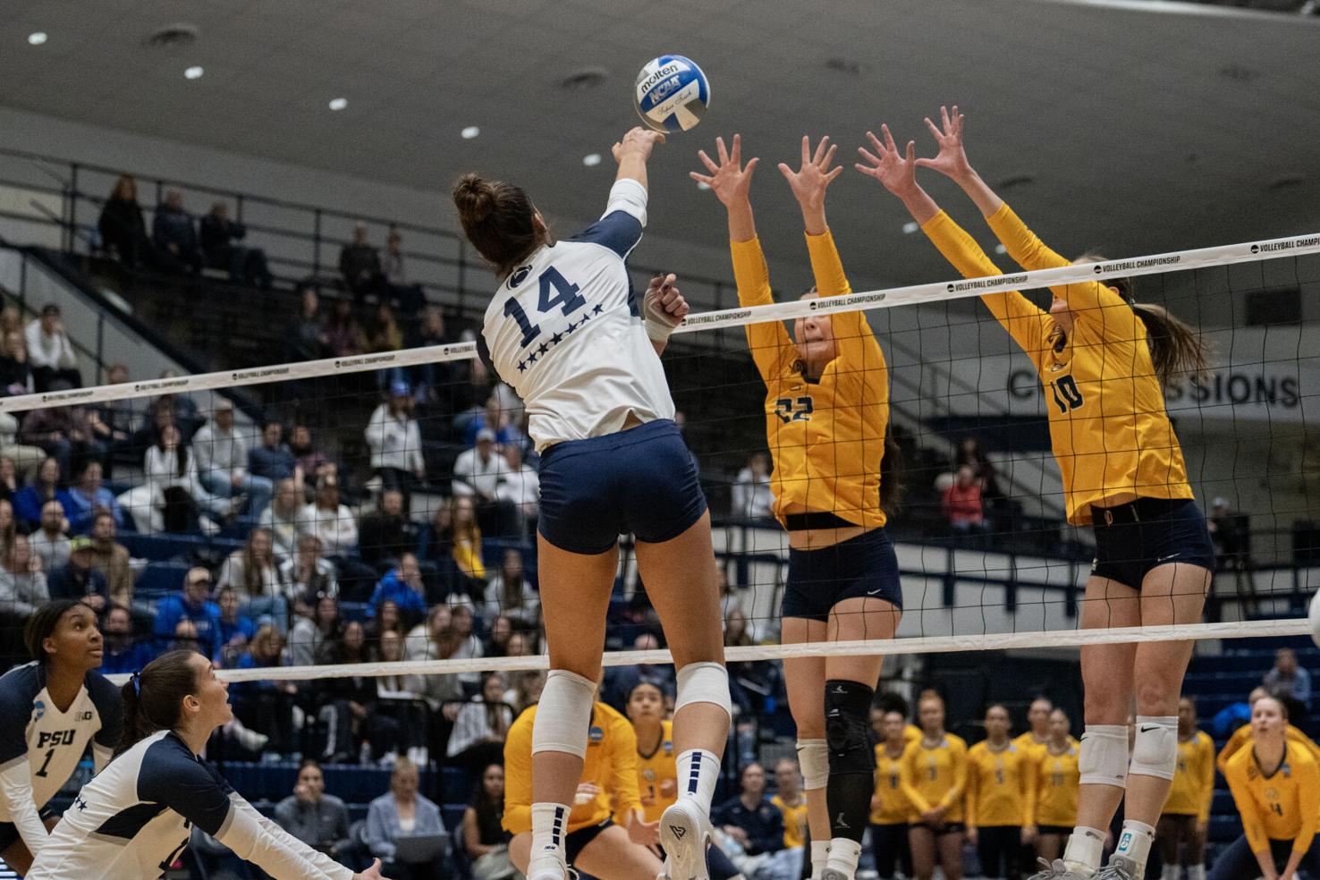 Penn State women's volleyball to face Arizona State and TCU | Penn ...