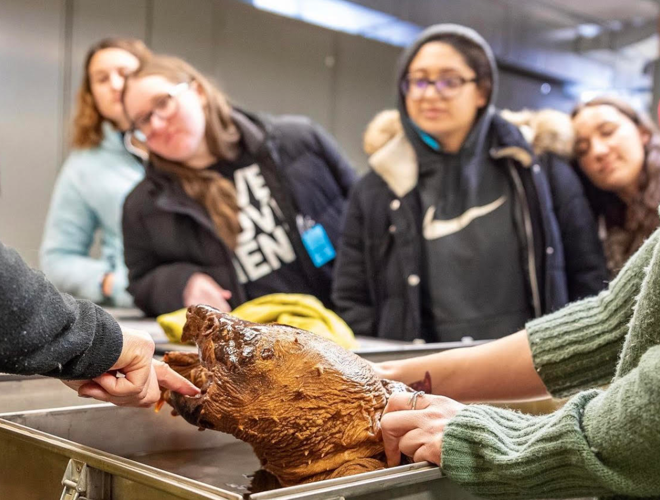 Penn State wildlife, fisheries science major provides students with ...