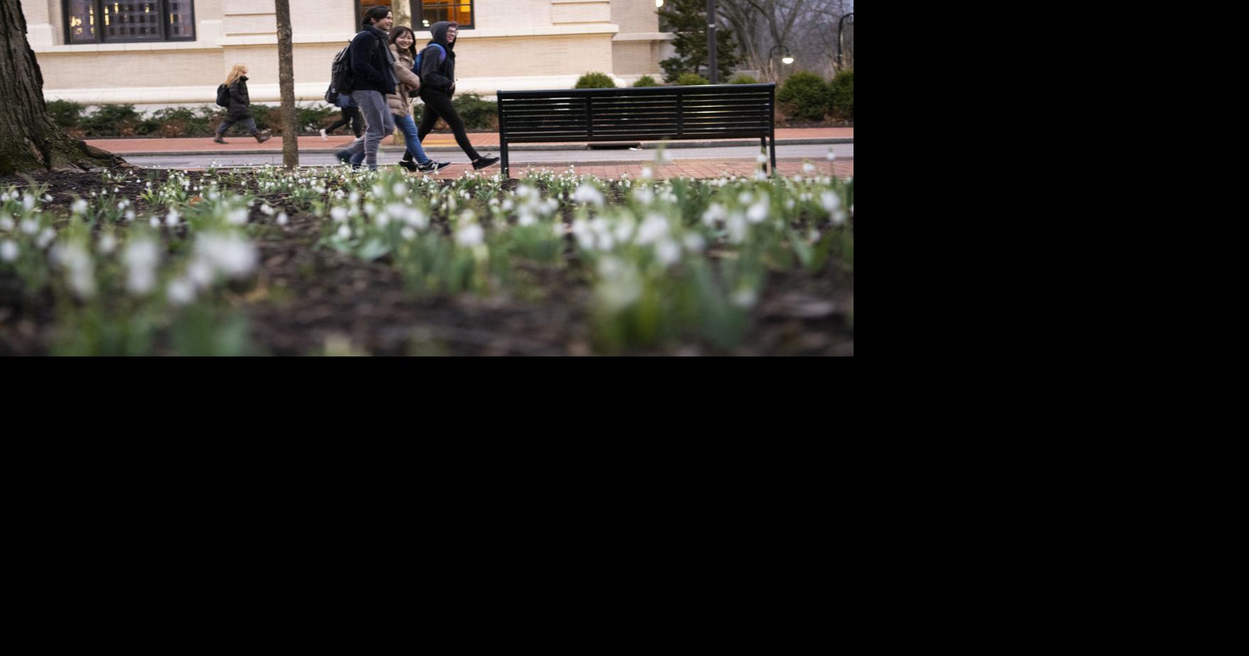 Portion of Pollock Road to close for repairs starting next week ...