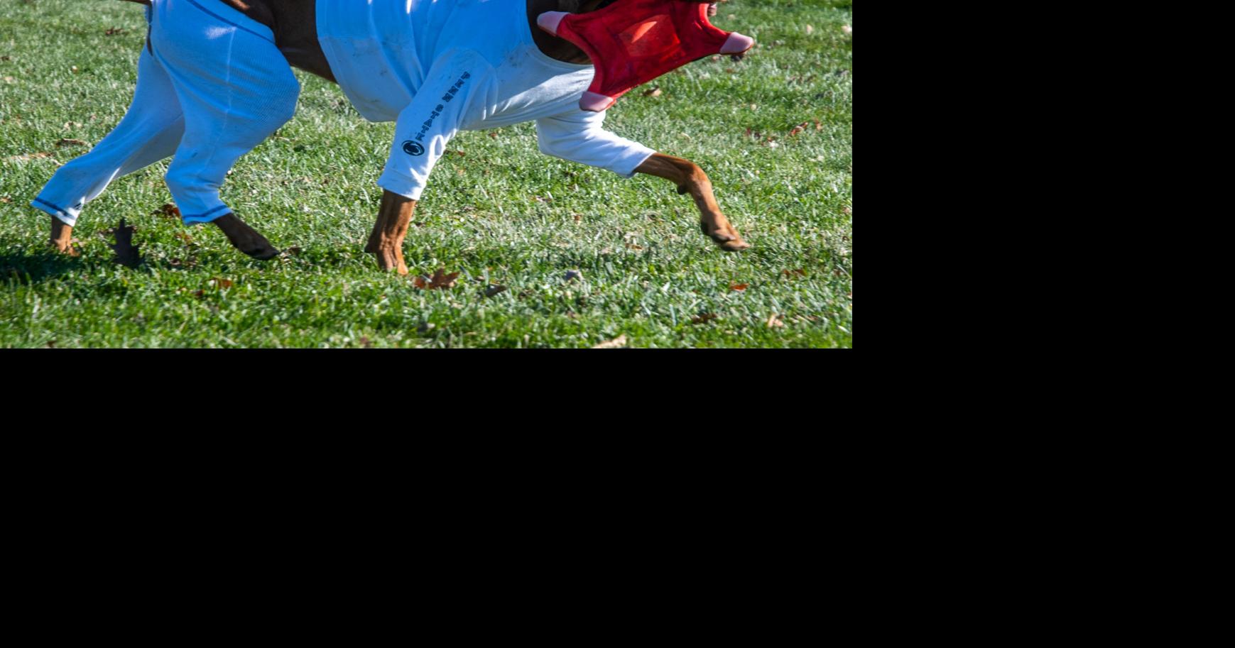 Indiana, Remy | | psucollegian.com