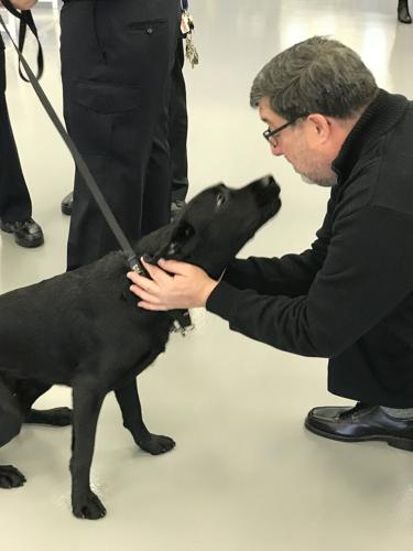 Meet Heron: The State College dog ready to take the CIA by storm ...