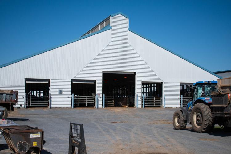 How Penn State Dairy Farms are continuing operations amid coronavirus ...