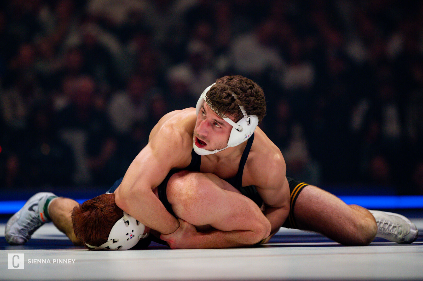 Penn State wrestling’s Hodge Trophy hopefuls | Penn State Wrestling ...