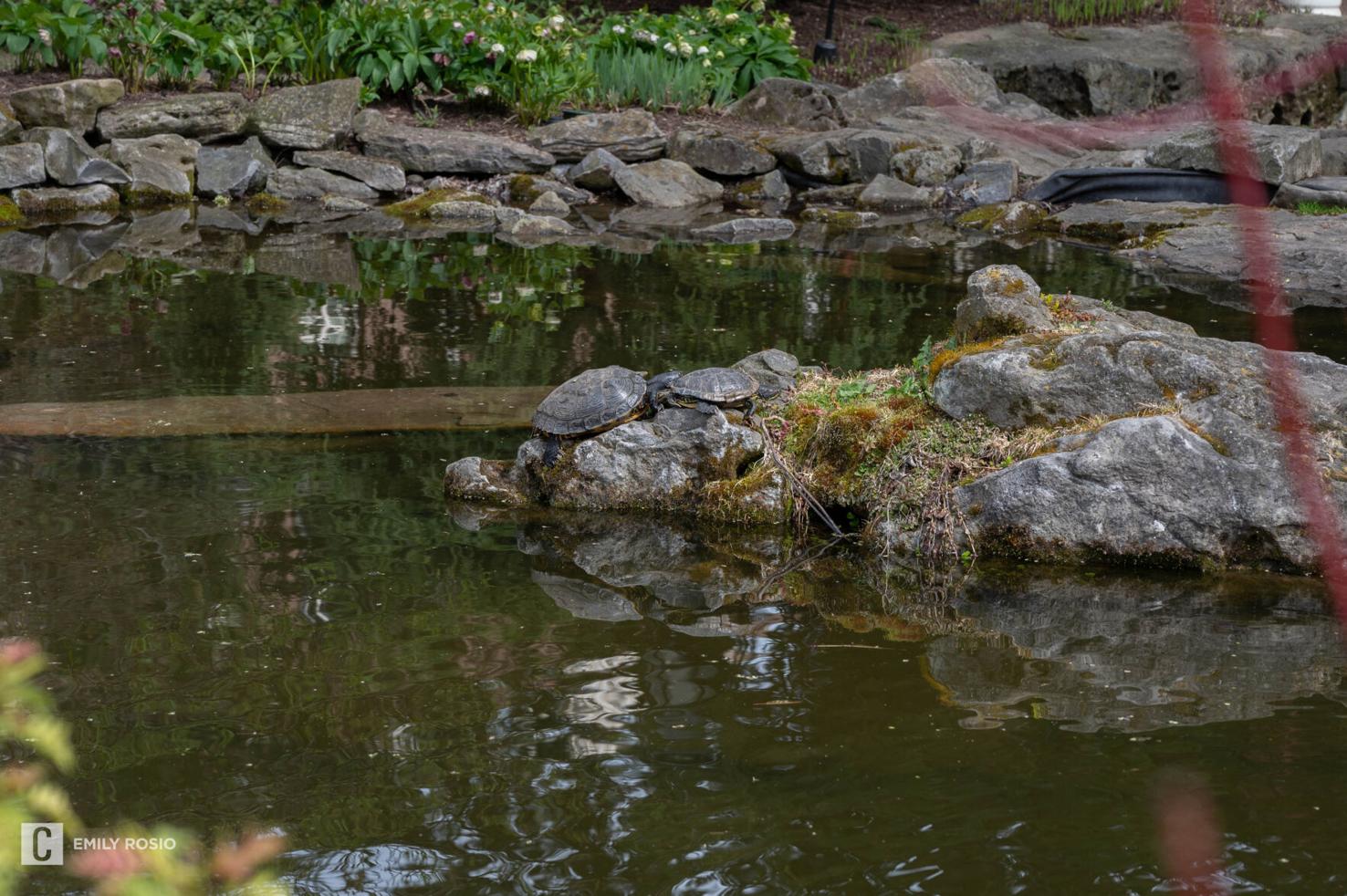 Hidden gems | A guide to unique campus spots | Penn State, State ...