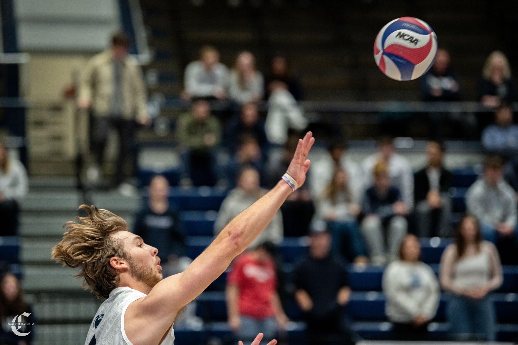 vb vs st thomas aquinas, herr serve | | psucollegian.com