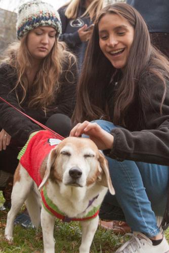 Penn State's FIJI, Delta Phi Epsilon co-host ‘Puppy Social’ to benefit ...