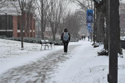 holidays without walking