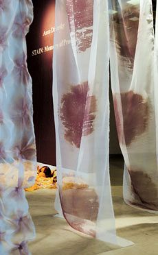 Graduate's exhibit explores beauty of skin | Arts | psucollegian.com
