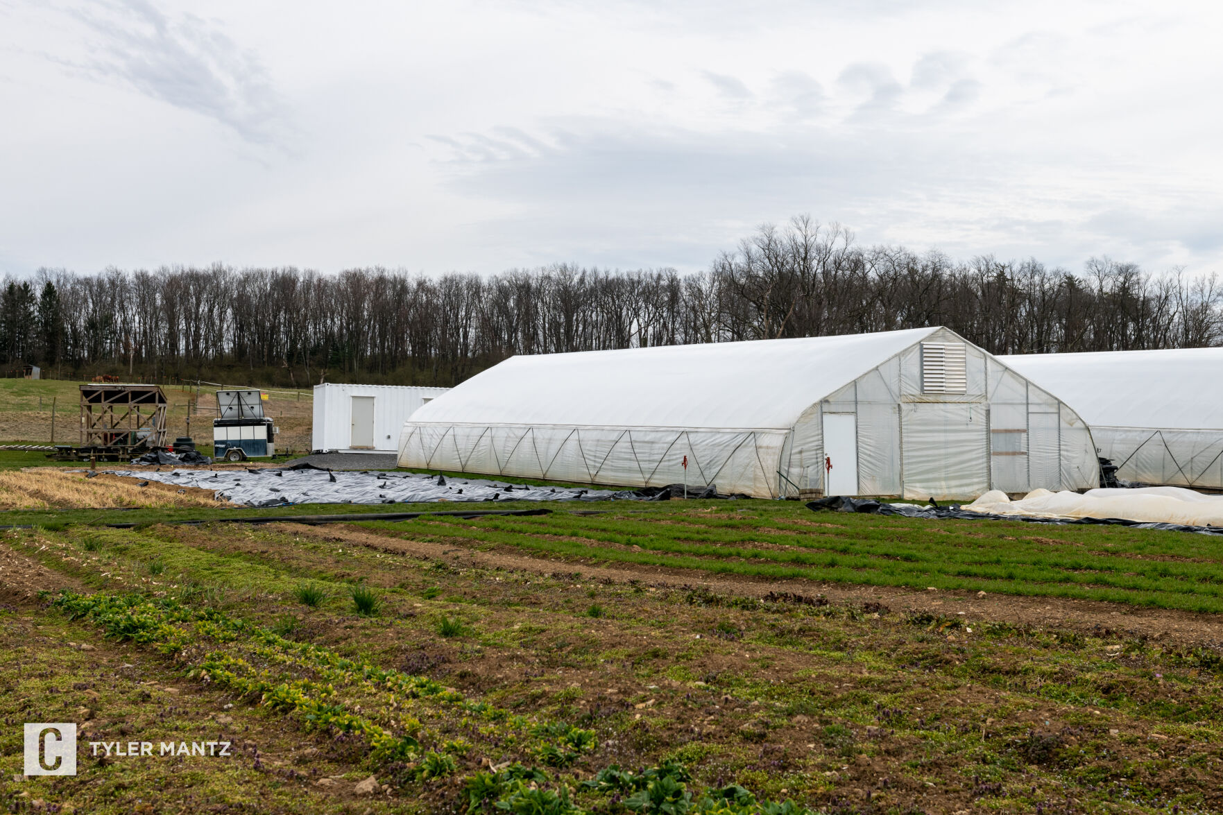 How Penn State’s sustainability initiatives rank among other ...