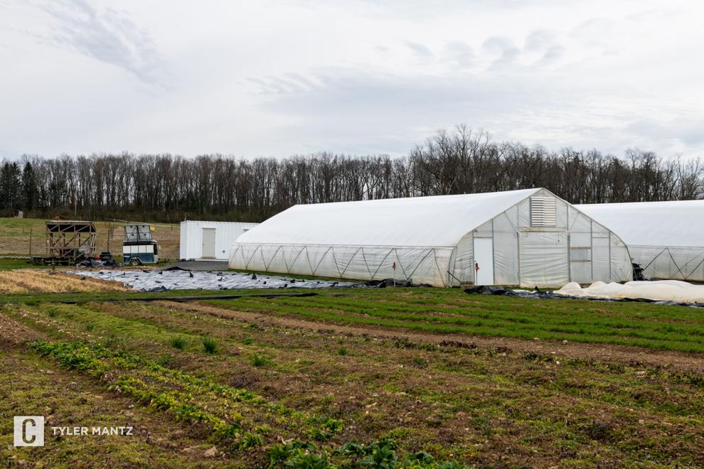 How Penn State’s sustainability initiatives rank among other ...