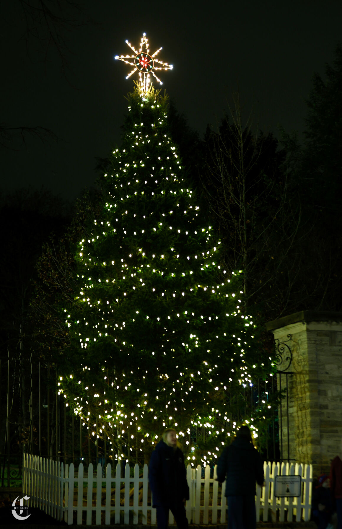 Light Up Downtown, Tree Vertical.jpg | | psucollegian.com