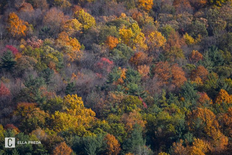 Penn State students share excitement for 'fall vibes' | Lifestyle ...