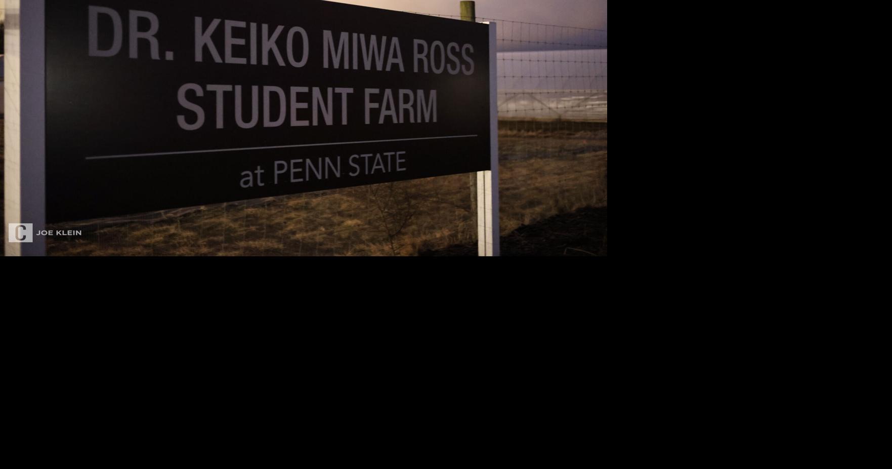 Penn State Student Farm hosts microgreens event | Lifestyle ...