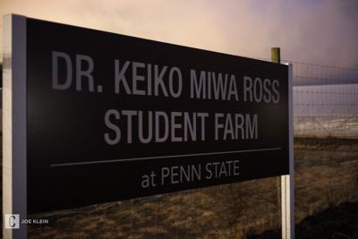 Penn State Student Farm hosts microgreens event | Lifestyle ...