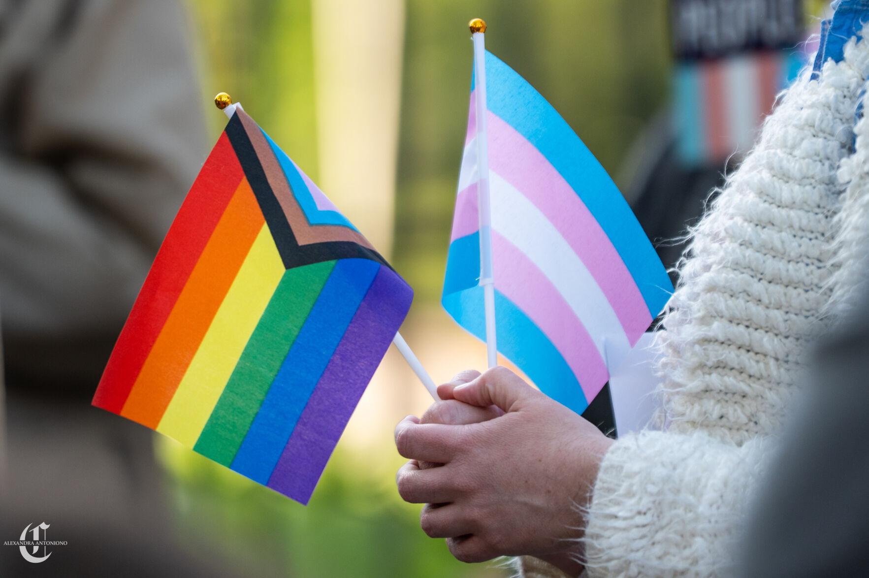 Mayor Ezra Nanes issues proclamation recognizing Nov. 20, 2025 as ...