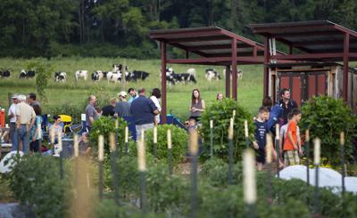 Seeking succulents? Student Farm to host fourth annual plant sale ...