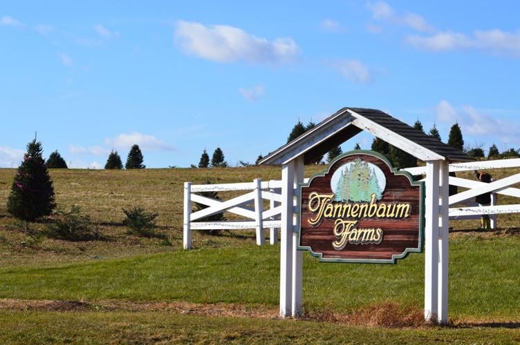 ‘A labor of love’ | Tannenbaum Farms closes after years of ‘fond memories’ | State College News ...