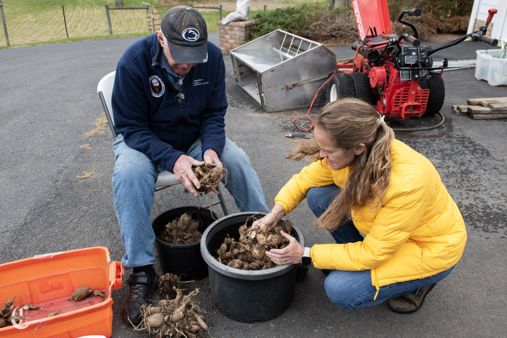 RDannerth, dahlia bulbs w/ Lisa | | psucollegian.com