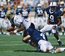 A fox tale | Archived News | Daily Collegian | psucollegian.com