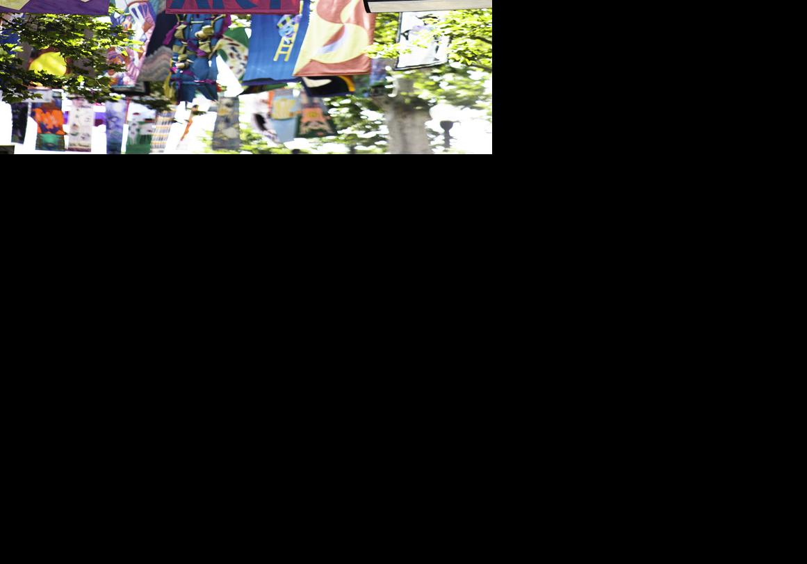 Arts Fest: How do artists feel about a virtual festival? | State ...