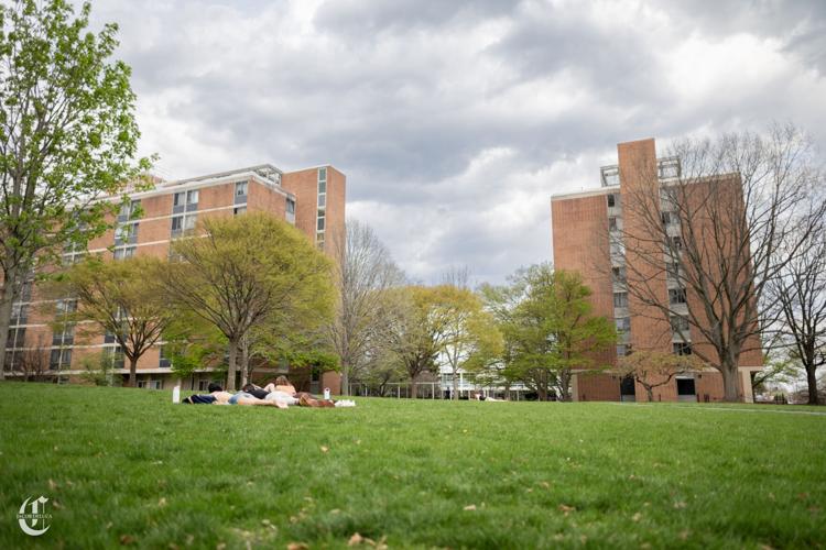 Penn State, culture, anthropology, housing, dorms, coed | Columns ...