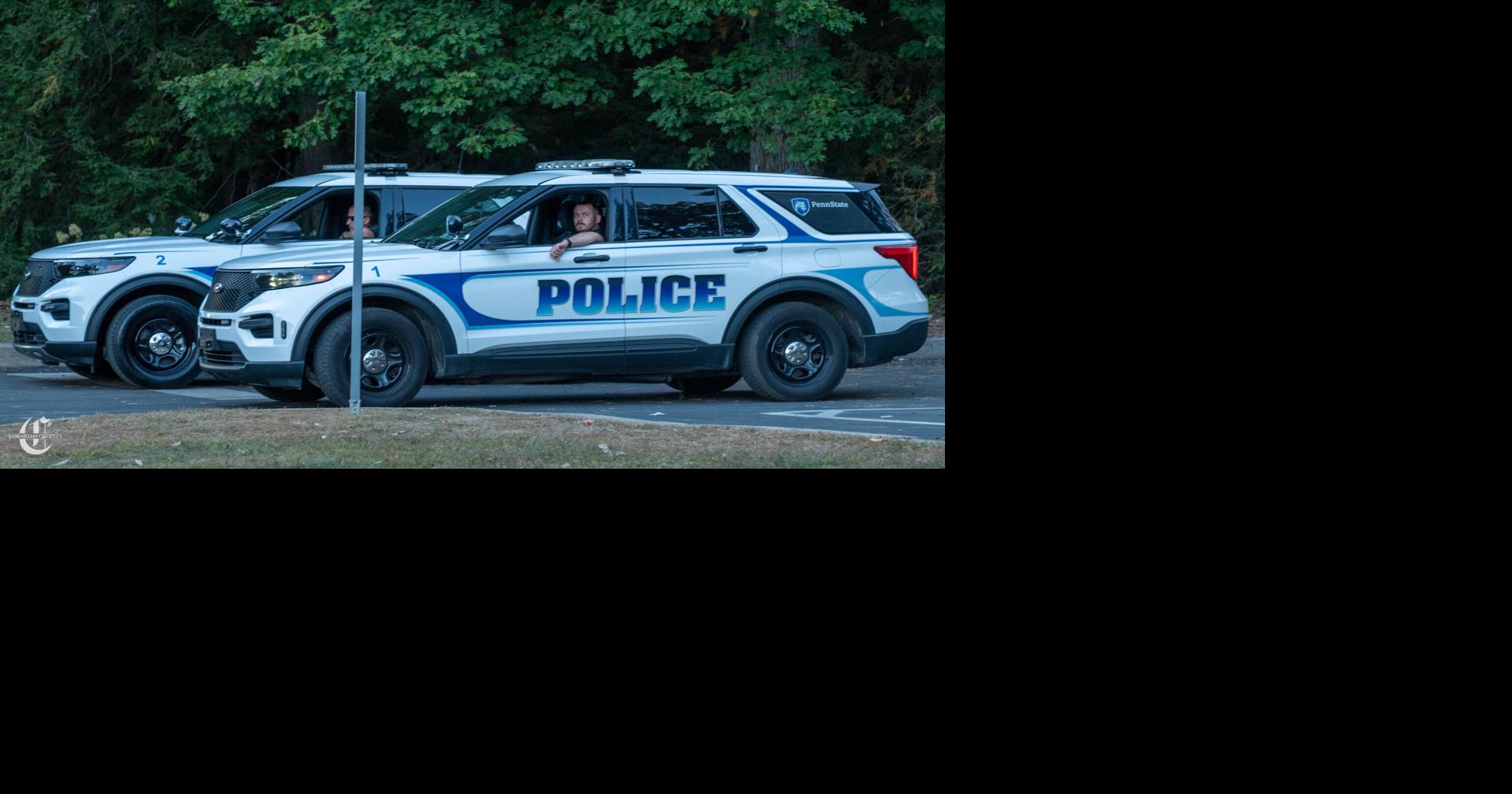 SCPD requests public help in criminal mischief investigation | Crime ...