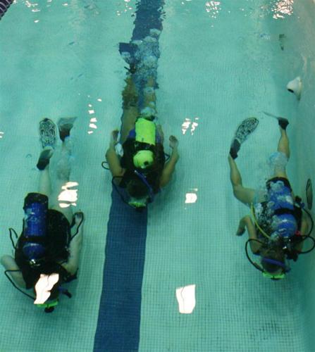 Students dive into class | Archived News | Daily Collegian ...