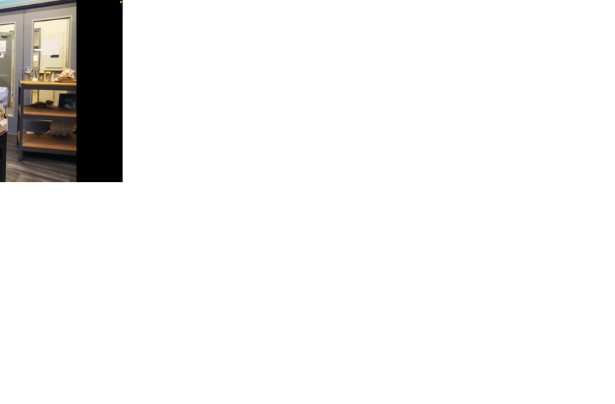 Discovery Space to open new marine life exhibit | State College News ...