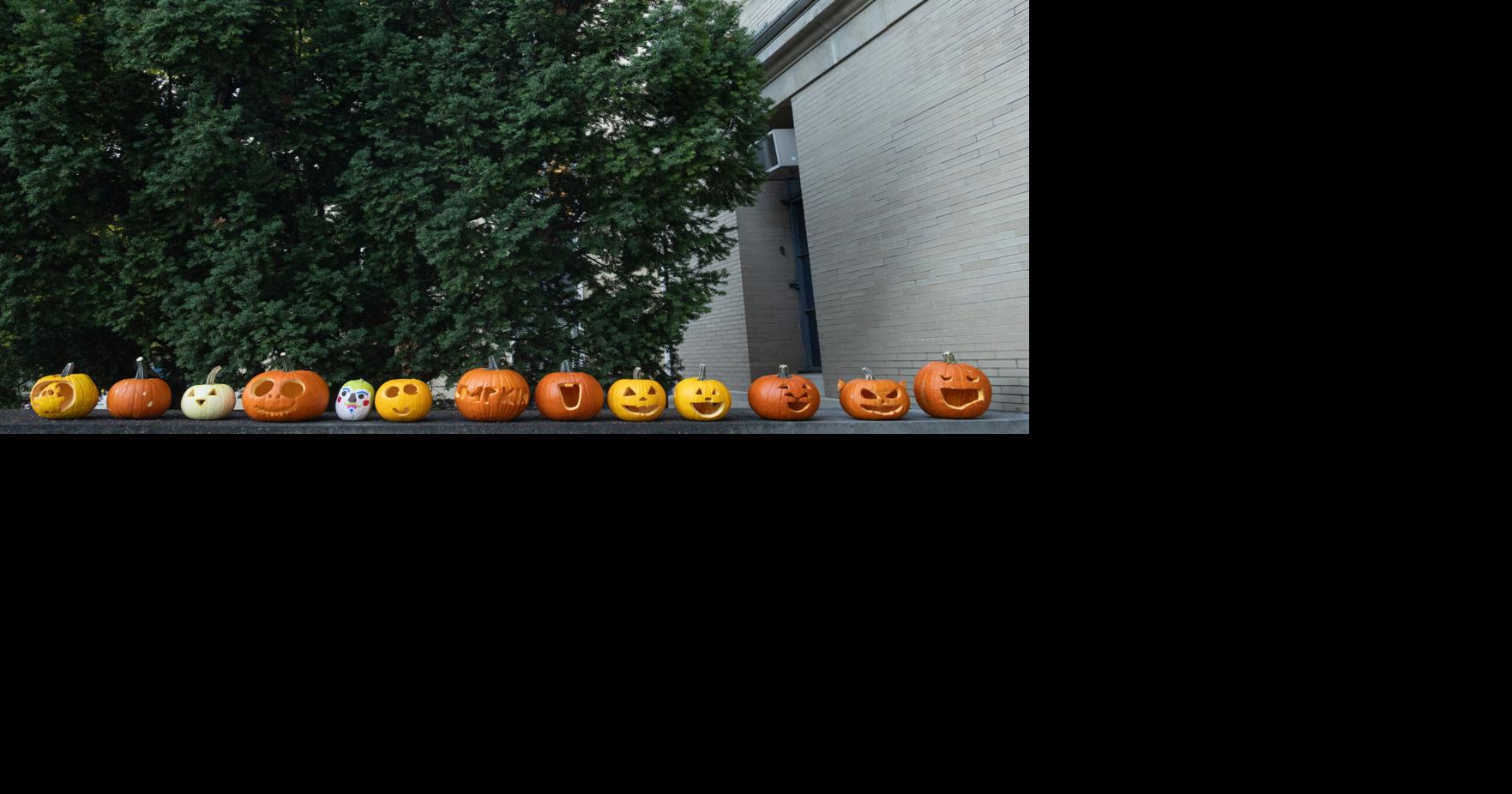 Pumpkins at osmond lab | | psucollegian.com