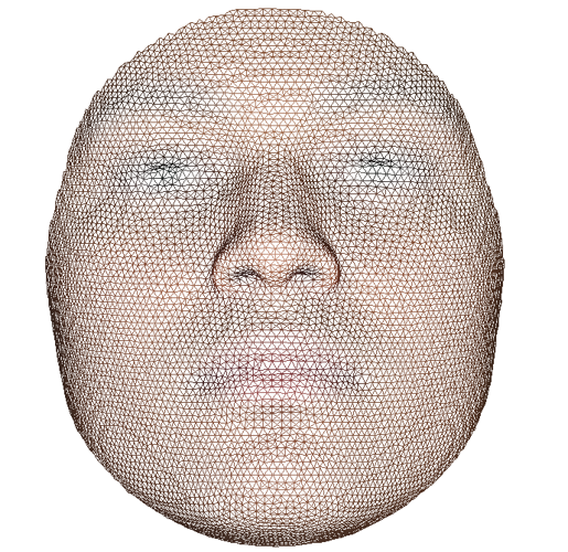 One Penn State professor unmasks the role genetics play in human faces ...