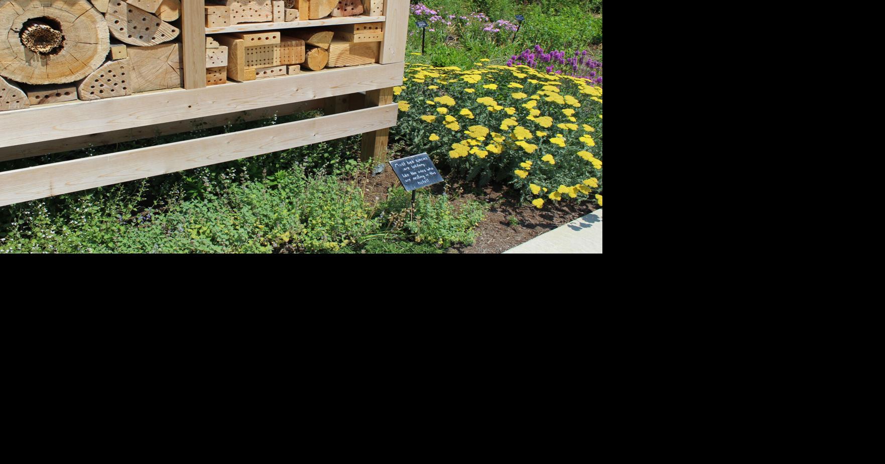 New garden offers array of native plants, pollinators at Penn State’s ...