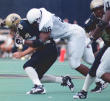 Panther quarterback Lytle marked man against Lions | Archived News ...