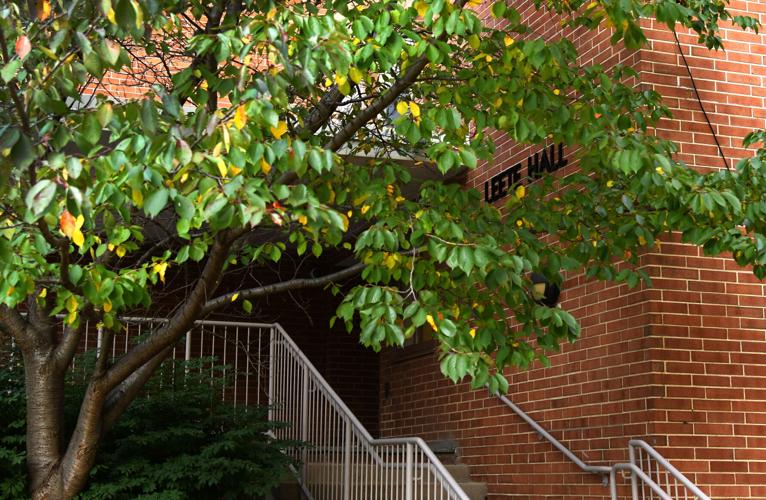 Penn State Lion LaunchPad creates community for students ‘who think ...