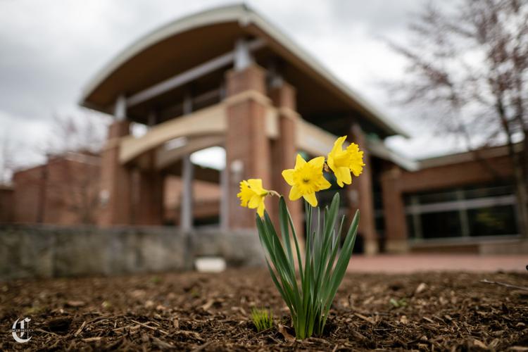 Campus in motion: What’s new at University Park | Blogs | psucollegian.com