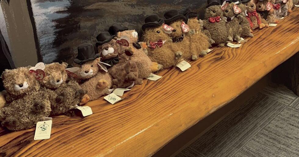 Original designer of the Punxsy Phil Beanie Baby reflects on the design ...
