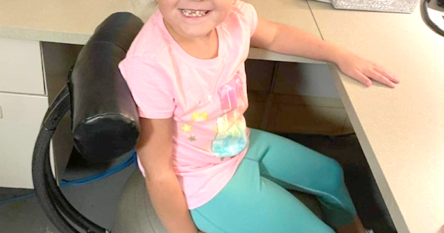 Local Make-A-Wish chapter turns 40 | News | punxsutawneyspirit.com