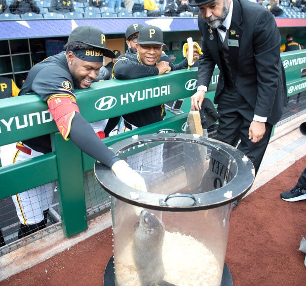 Punxsy Phil, Groundhog Club throw first pitch at Pirates game | News ...