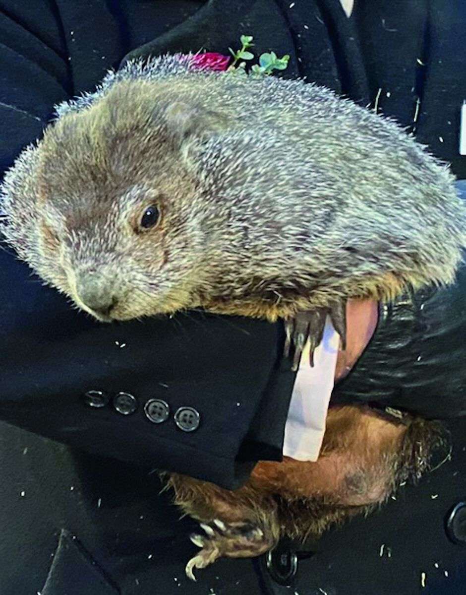 Groundhog Day 2026 tickets to go on sale Wednesday | Entertainment ...