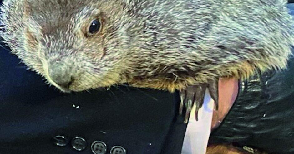 Groundhog Day 2026 tickets to go on sale Wednesday | Entertainment ...